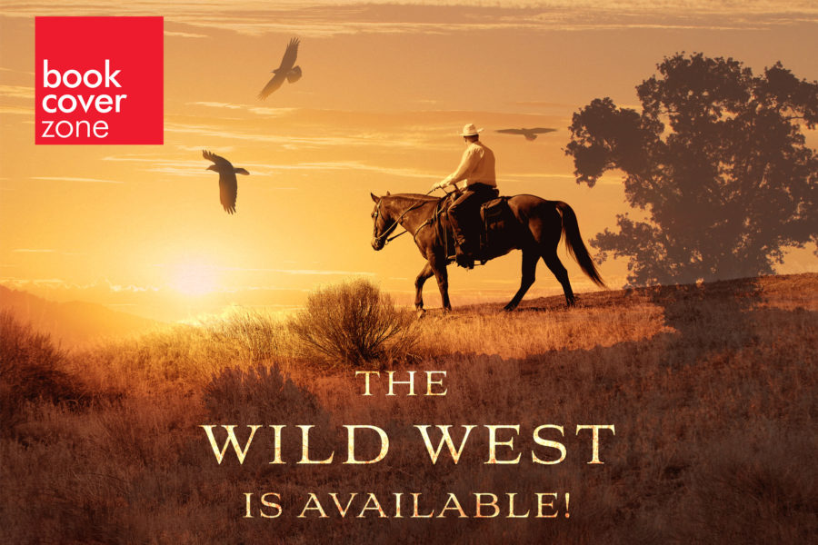 Premade Book Covers - Bookcoverzone.com